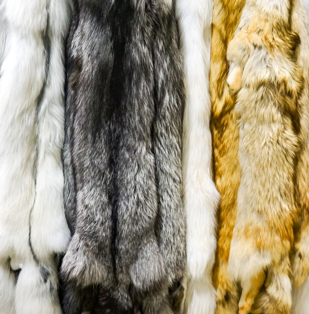 Furmark® launched to ensure animal welfare standards in natural fur ...