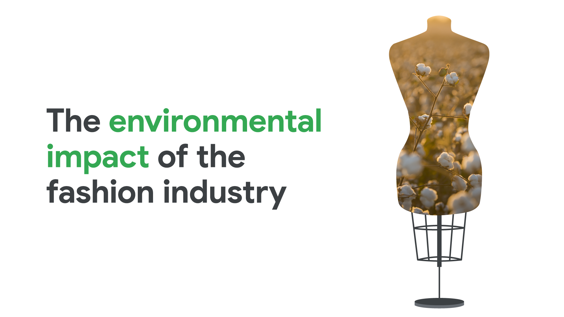 Google launches pilot aiming to measure the environmental impact of the ...