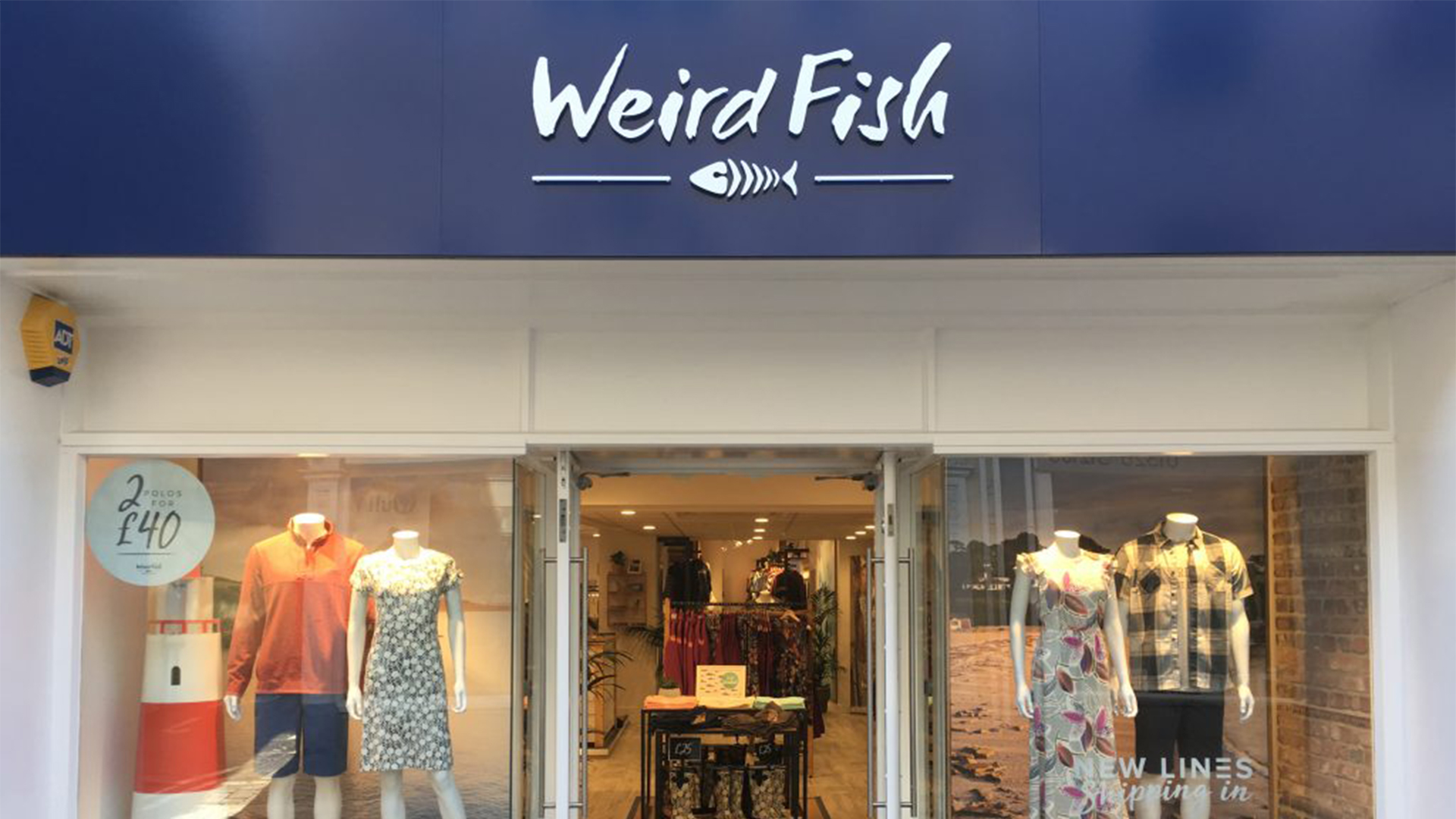 Weird Fish owner ups stake and ‘prepares war chest’ to target other ...