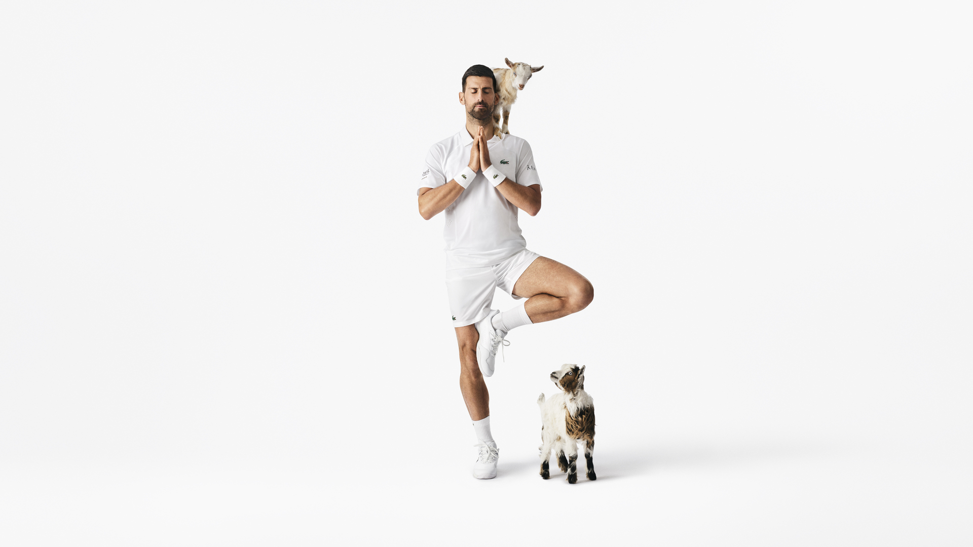 Novak Djokovic T Shirt